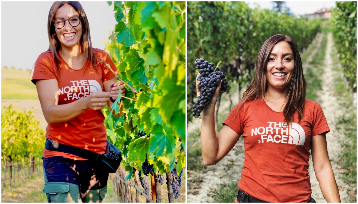 Il futuro della viticoltura italiana sostenibile secondo l'agronoma ...