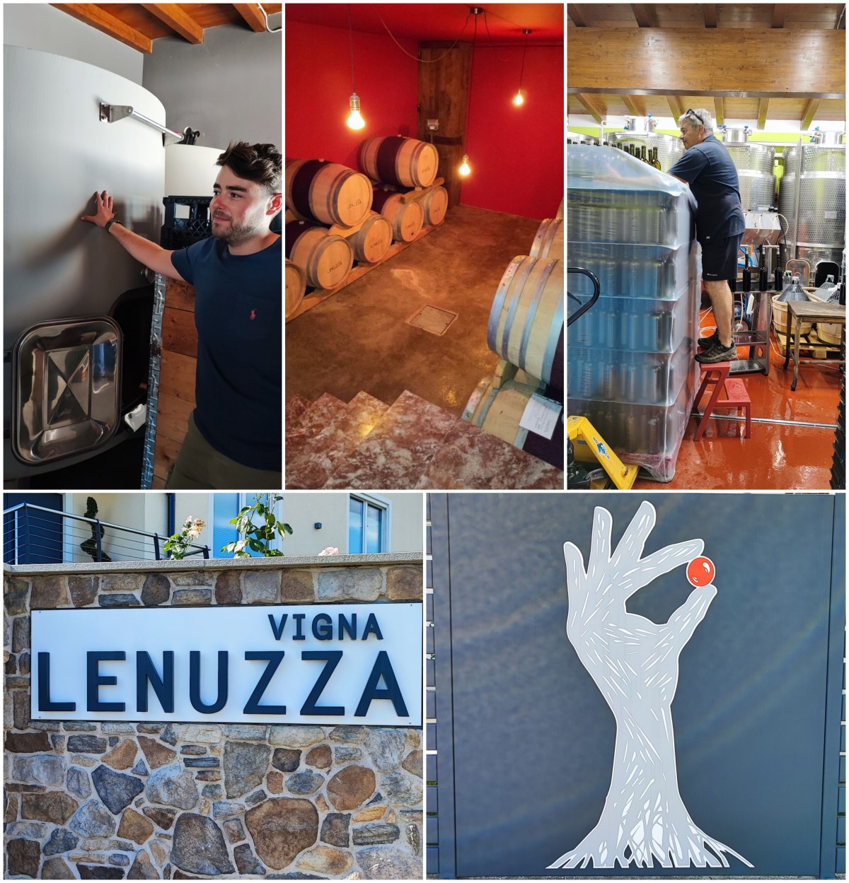 Vigna Lenuzza – Il biologico e il progetto “Indigenously” nella terra ...