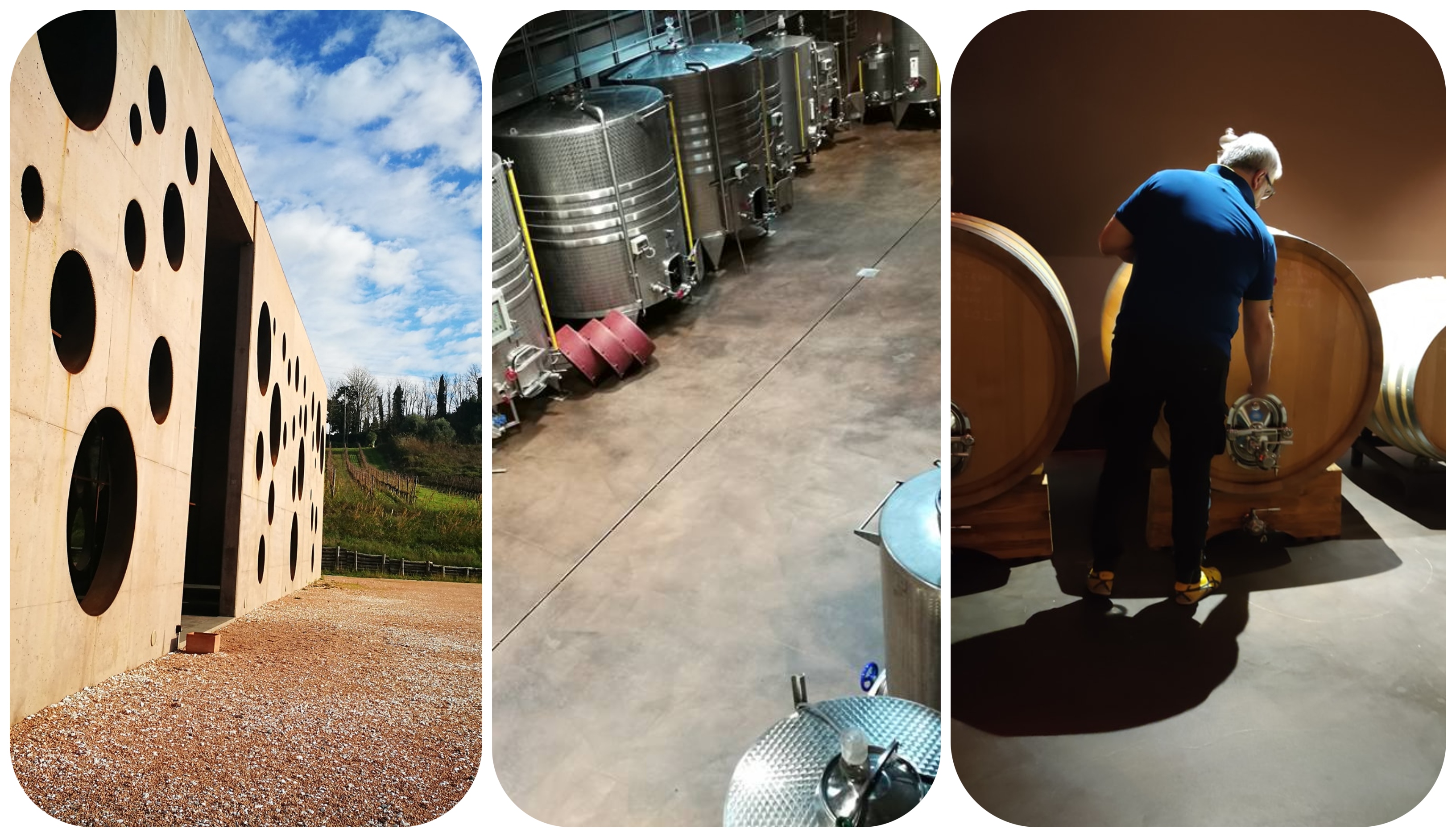 Un grande (auspicato ma inaspettato) Sangiovese in purezza nelle Terre ...