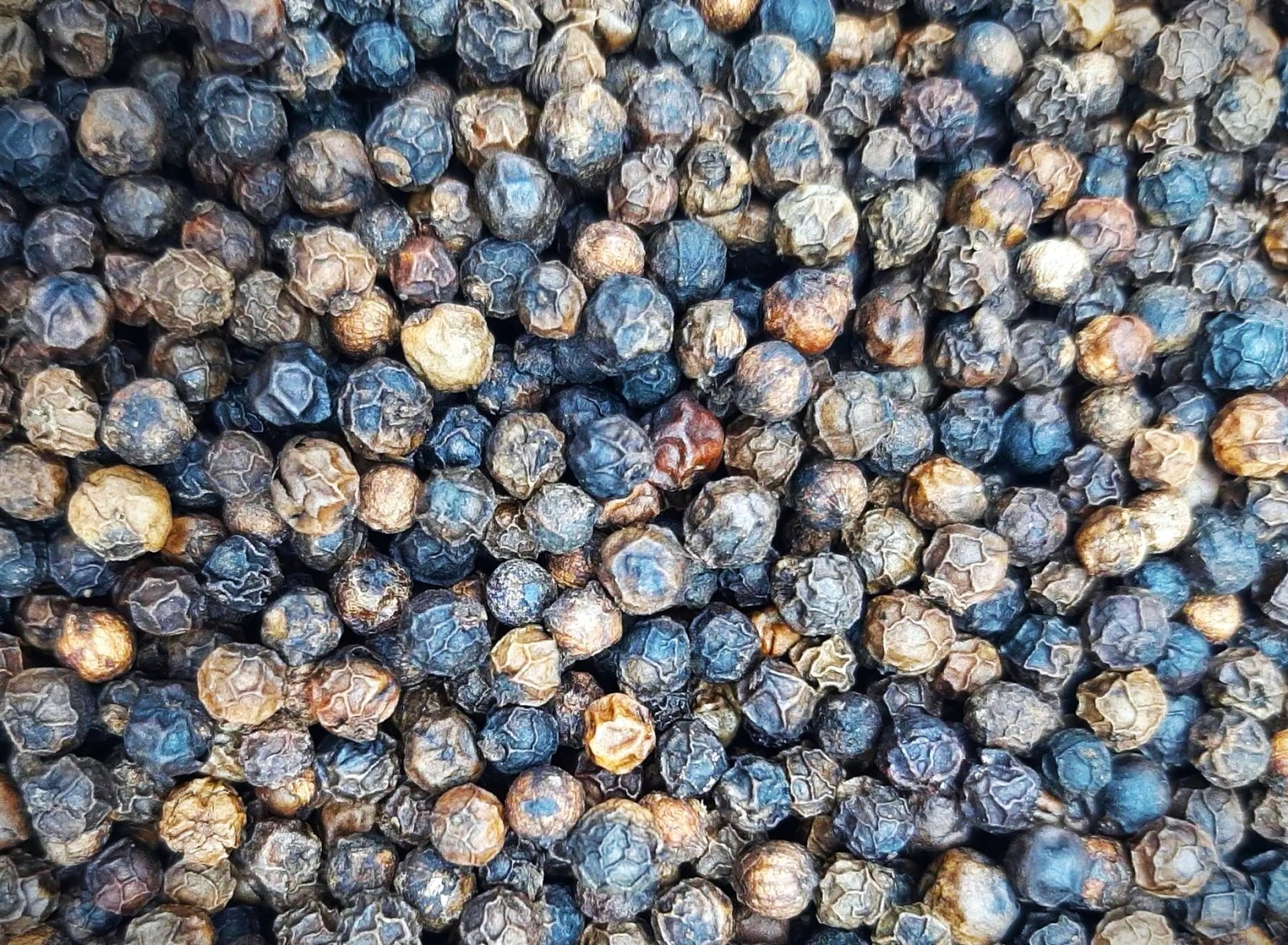 Rotundone – Il pepe nel vino e non solo! – Wine Blog Roll – Il Blog del ...